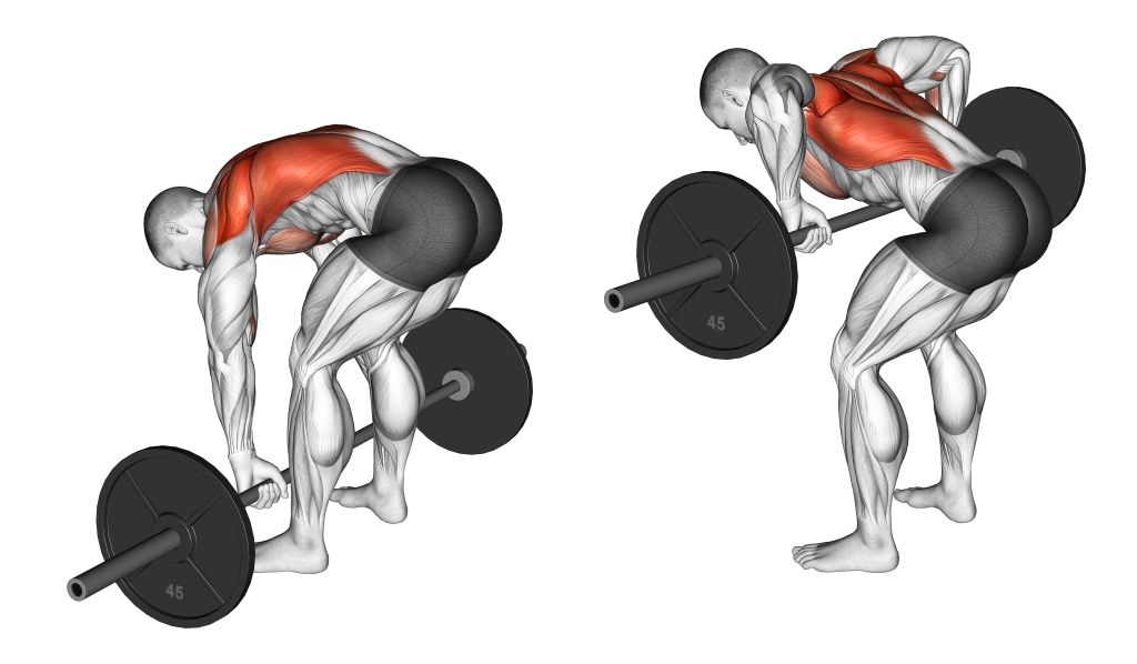 Barbell Pendlay Row Benefits Muscles Worked And More Inspire US