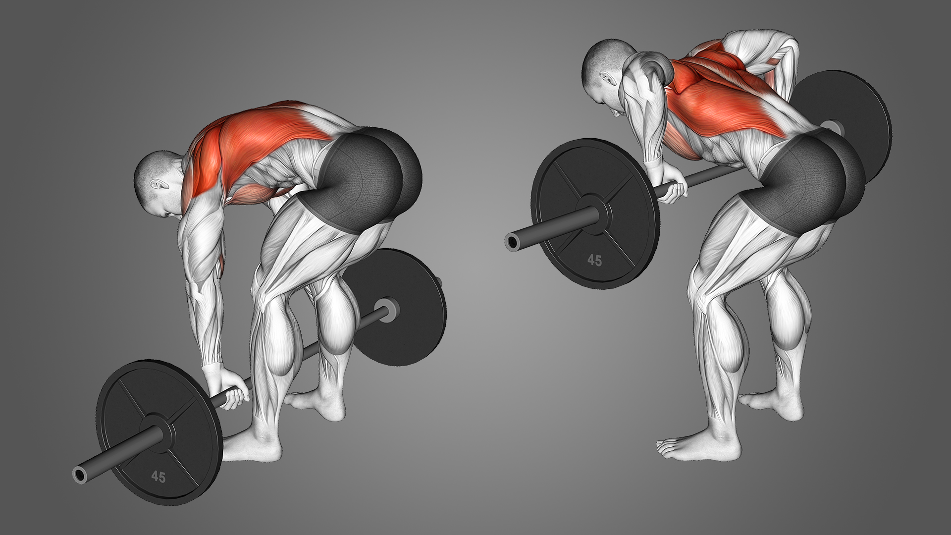 Barbell Pendlay Row Benefits Muscles Worked And More Inspire US