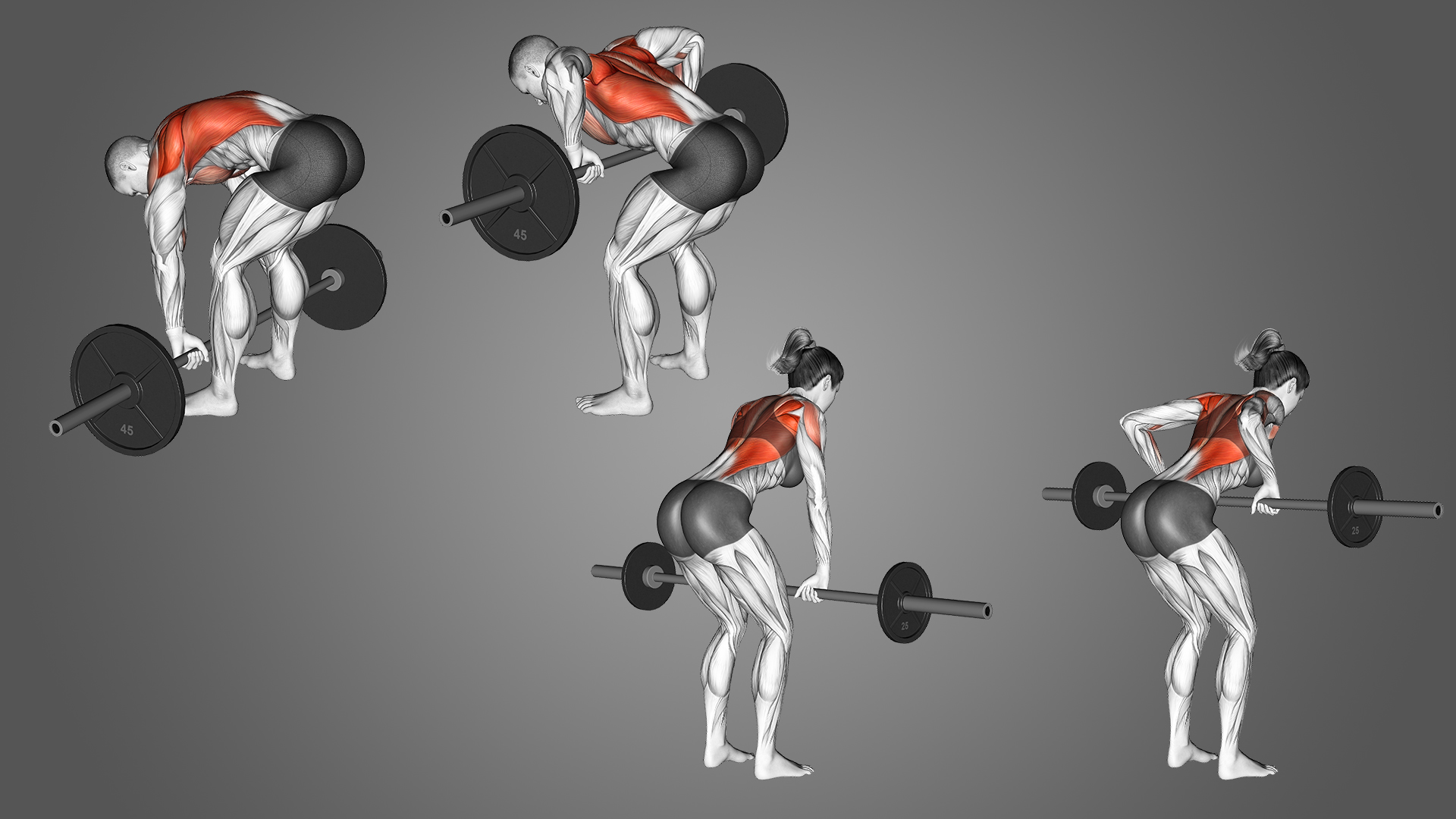 Pendlay Row Vs Barbell Row Which Is Best Inspire US