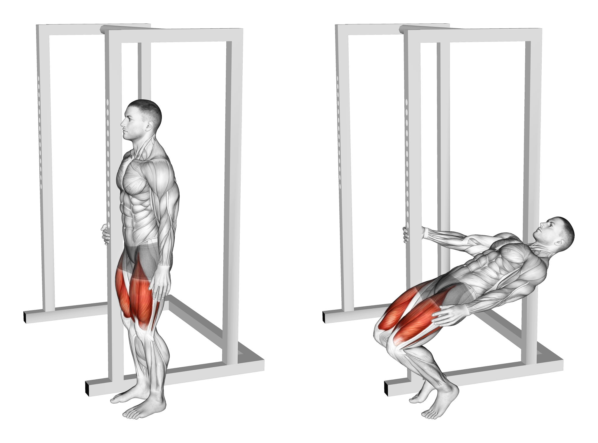 Sissy Squat: Benefits, Muscles Worked, More - Inspire US