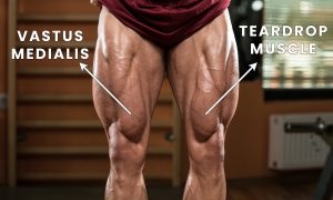 5 Best Vastus Medialis (VMO) Exercises (with Pictures!) - Inspire US