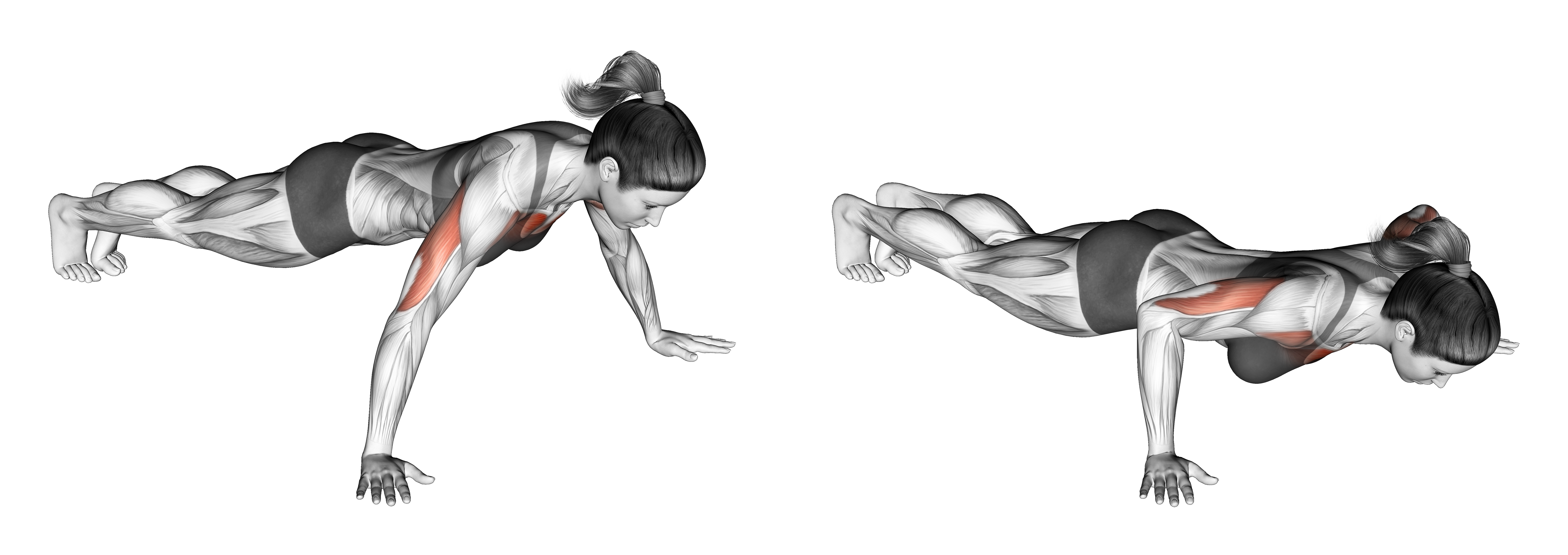 18 Types of Push Ups (Variations): Novice, Intermediate, Advanced ...