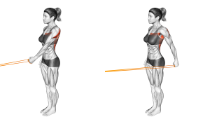 Shoulder Tendonitis: 5 Stretches and 5 Exercises (with Pictures ...