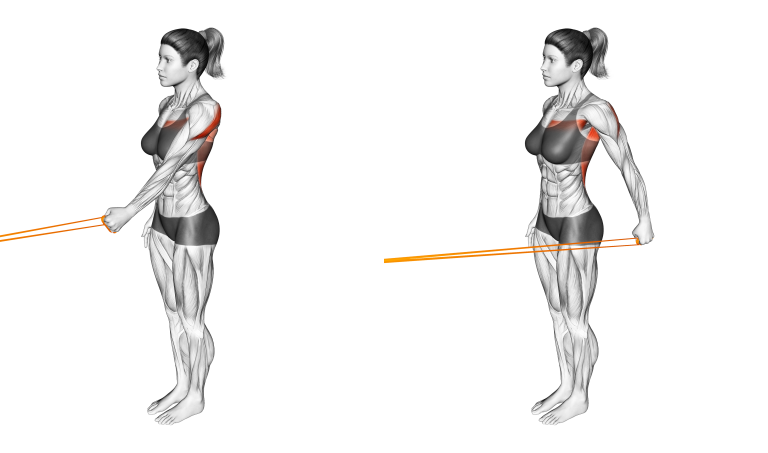 Shoulder Tendonitis: 5 Stretches and 5 Exercises (with Pictures ...