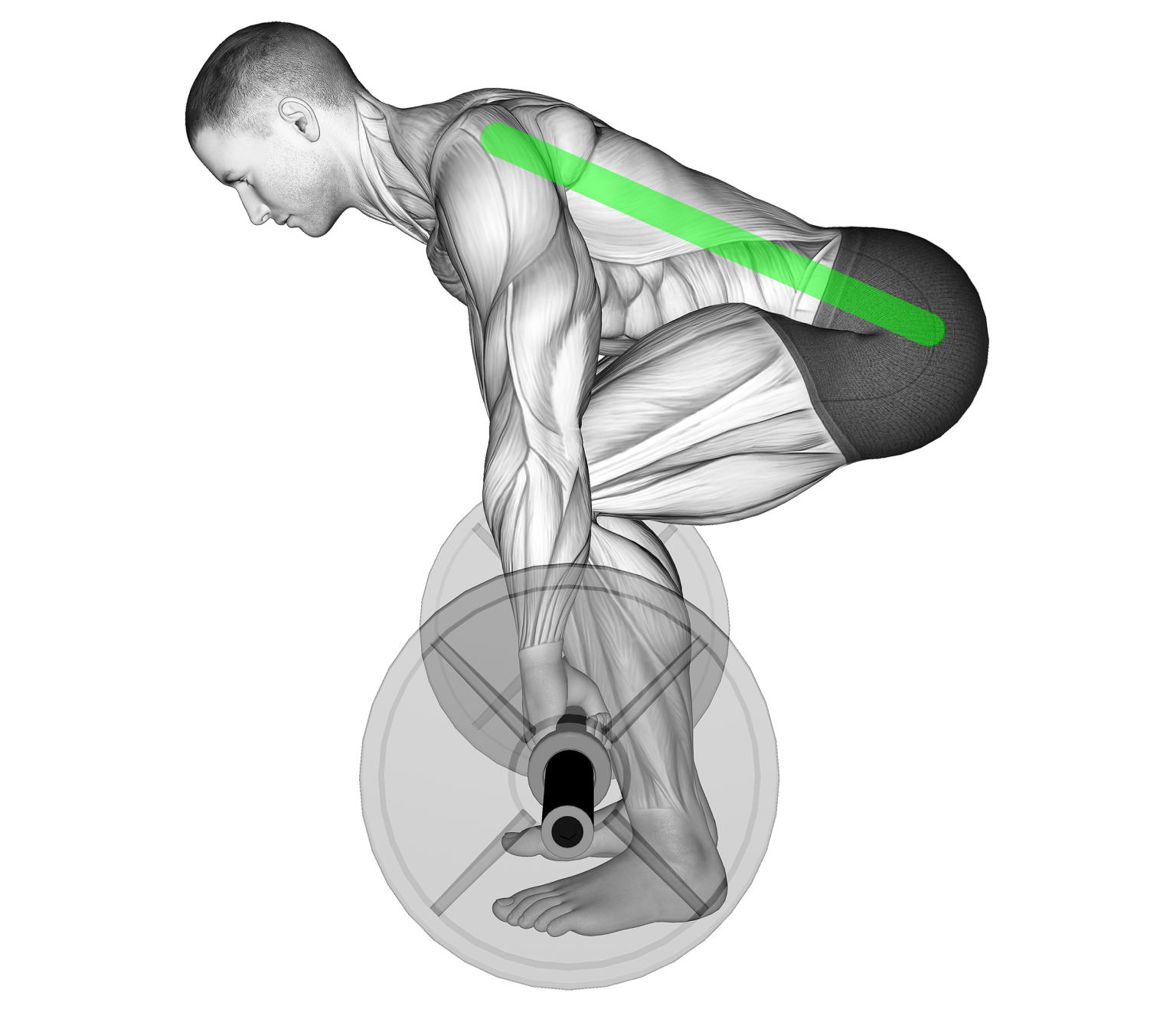 Lower Back Rounding Deadlift: How to Fix! - Inspire US