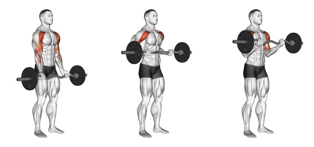 6 Best Spider Curl Alternatives (with Pictures!) - Inspire US