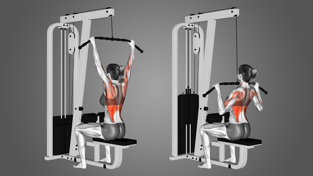 Close Grip Lat Pull Down
