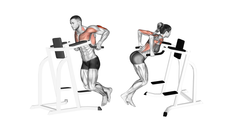 Dips (Chest and Triceps): Benefits, Muscles Worked, and More - Inspire US