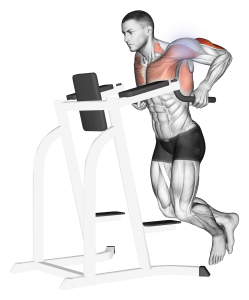 Dips Hurt Shoulders: 6 Potential Reasons - Inspire US