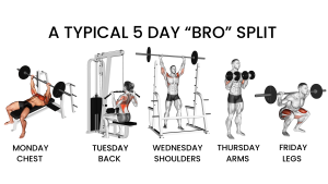 What Is a Bro Split? 4 or 5 Day Examples - Inspire US