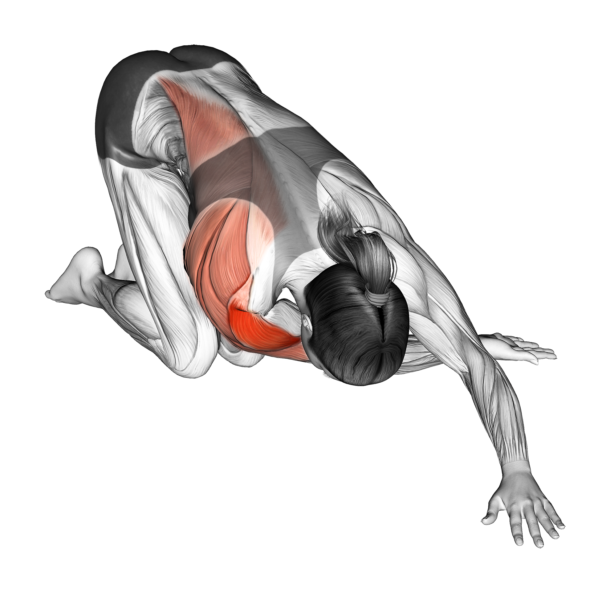 3 Best Rear Deltoid Stretches (with Pictures!) - Inspire US