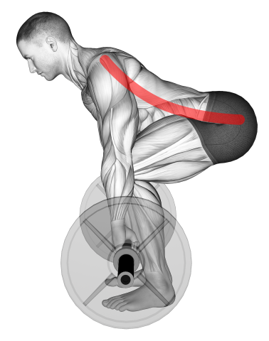 Deadlift Head Position: Form Cue Explained - Inspire US