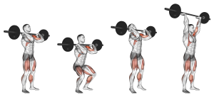 7 Best Shoulder Press Variations (with Pictures!) - Inspire US