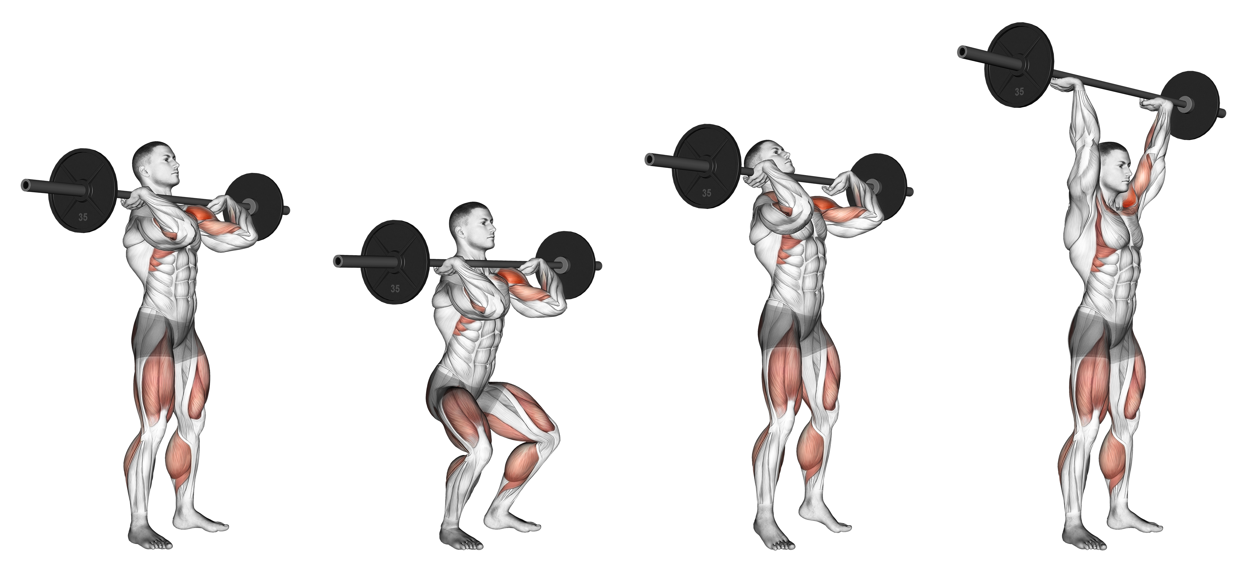 Barbell Push Press: Benefits, Muscles Worked, and More - Inspire US