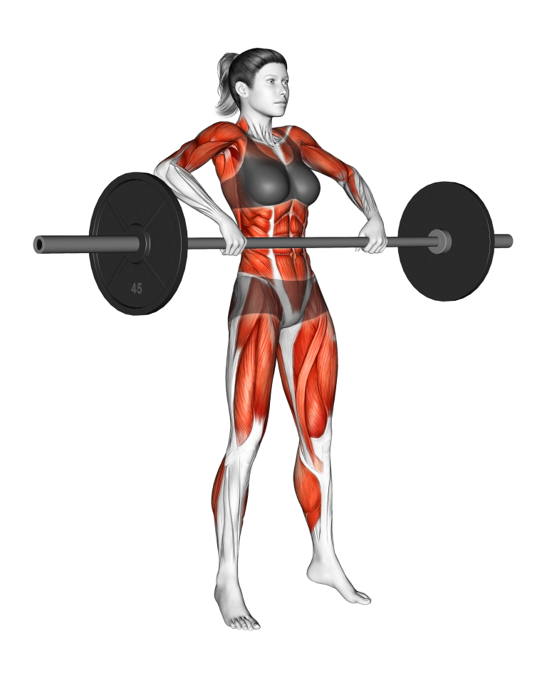 Clean and Press: Benefits, Muscles Worked, and More - Inspire US