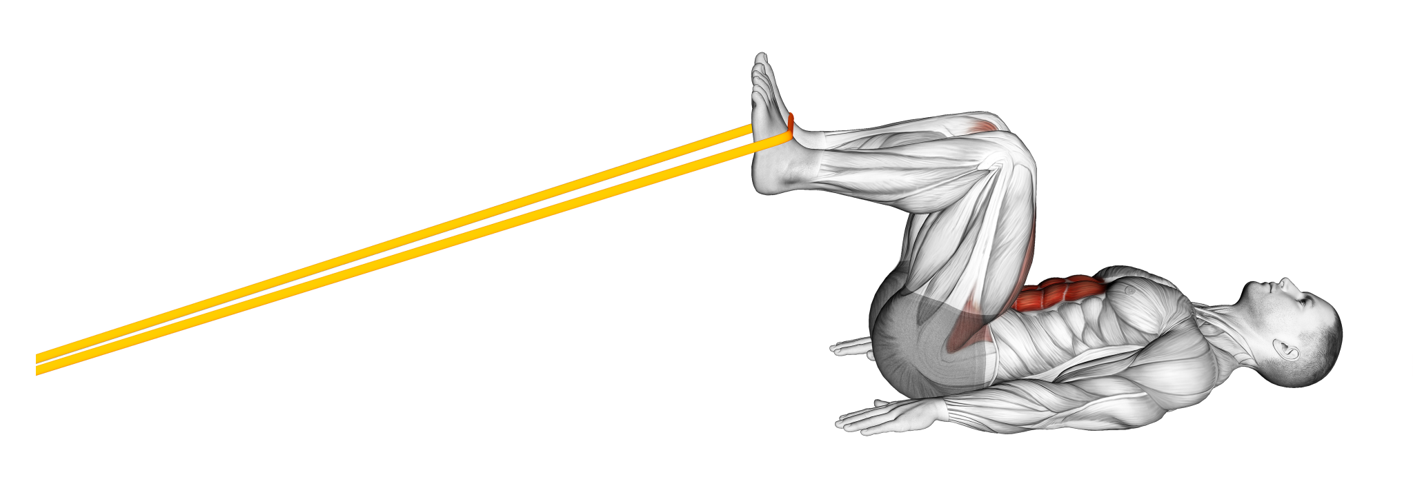 Reverse Squats: Benefits, Muscles Worked, and More - Inspire US