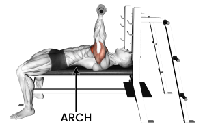 Bench Press Arch: The Purpose Explained - Inspire US