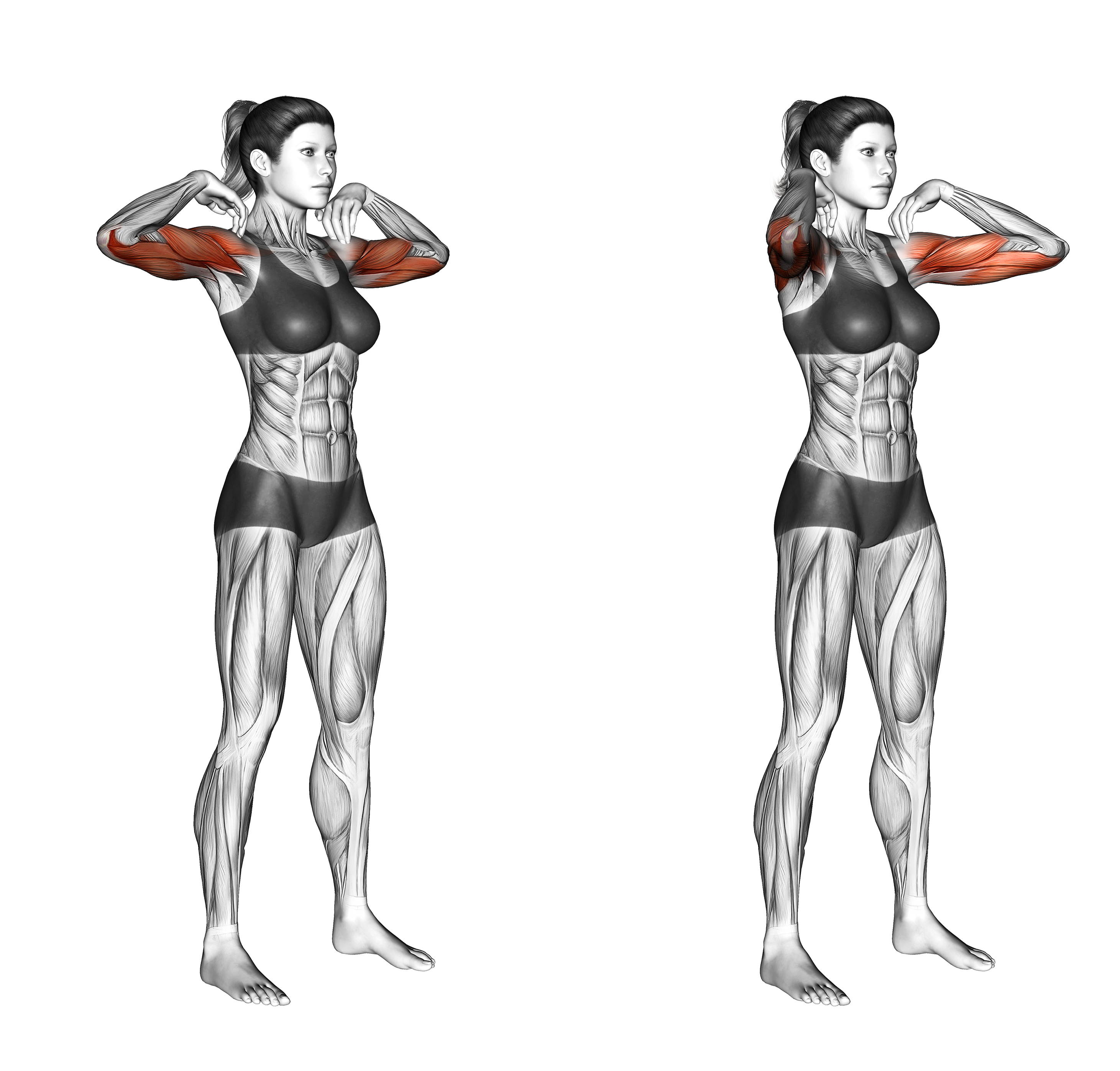 Warm Up For Pull Ups: Exercises, Stretches, and More - Inspire US