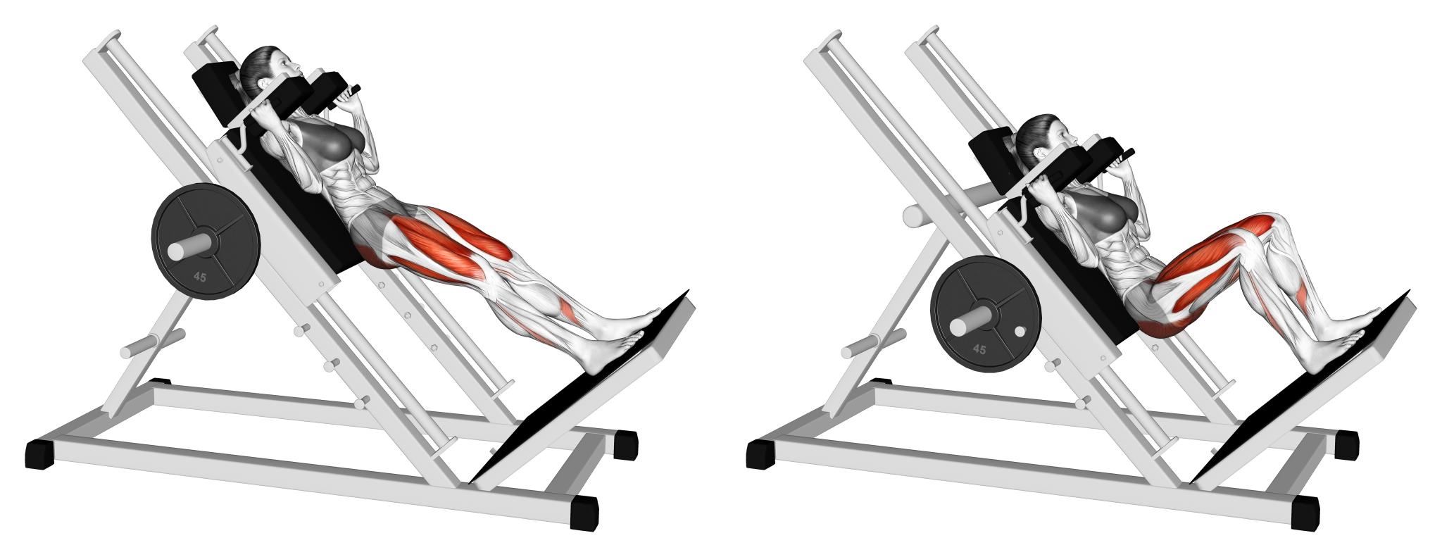 V Squat vs Hack Squat: The Differences Explained - Inspire US