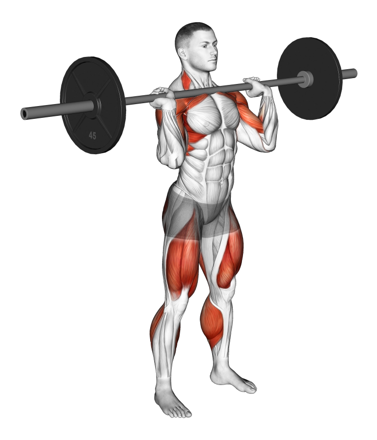 Barbell Power Cleans: Benefits, Muscles Worked, and More - Inspire US