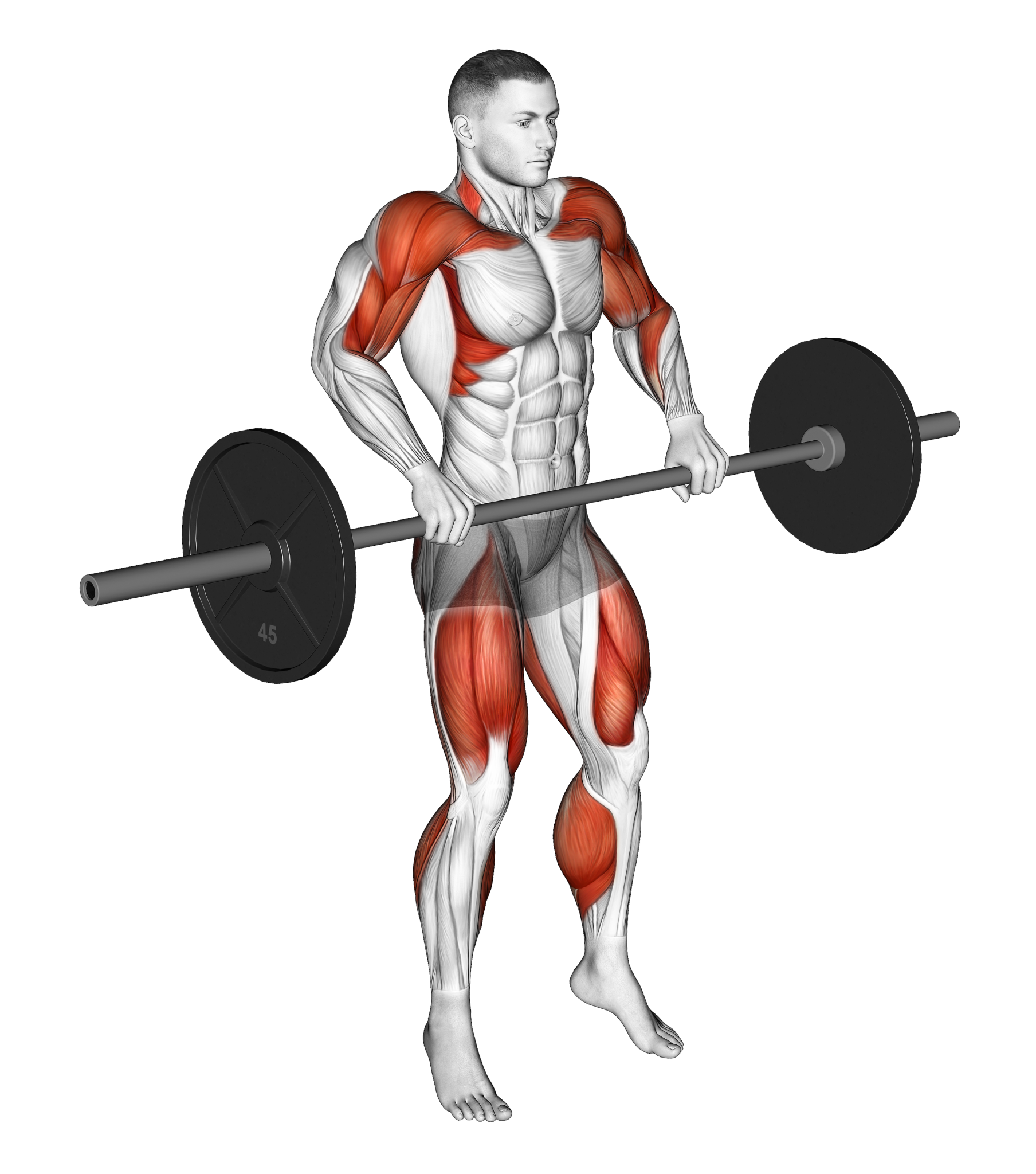 Barbell Power Cleans: Benefits, Muscles Worked, and More - Inspire US