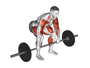 Barbell Power Cleans: Benefits, Muscles Worked, and More - Inspire US