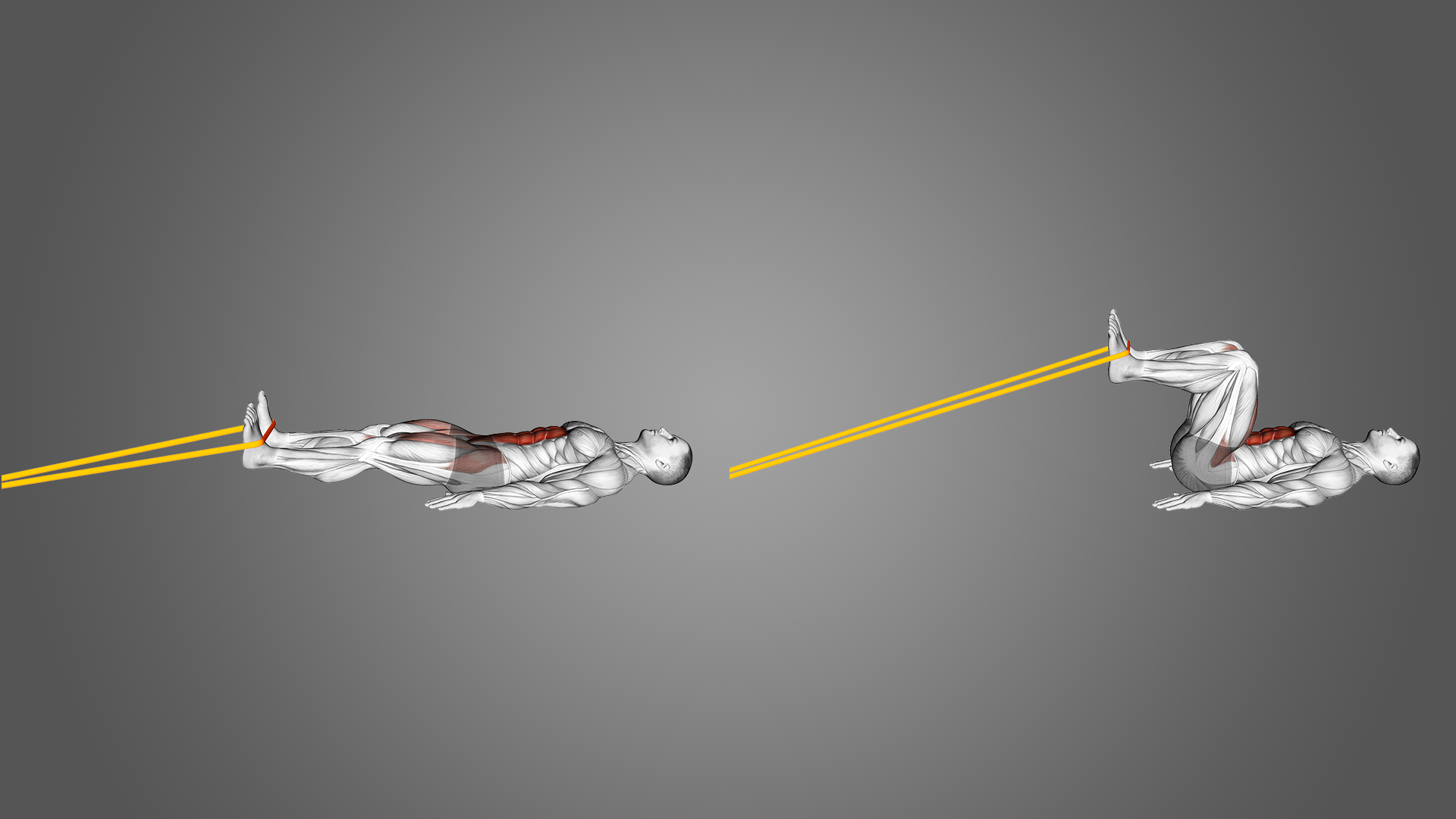 Reverse Squats: Benefits, Muscles Worked, and More - Inspire US