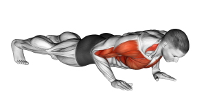 Clapping Push Up: Benefits, Muscles Worked, and More - Inspire US