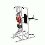 Neutral Grip Pull Up: Benefits, Muscles Worked, and More - Inspire US