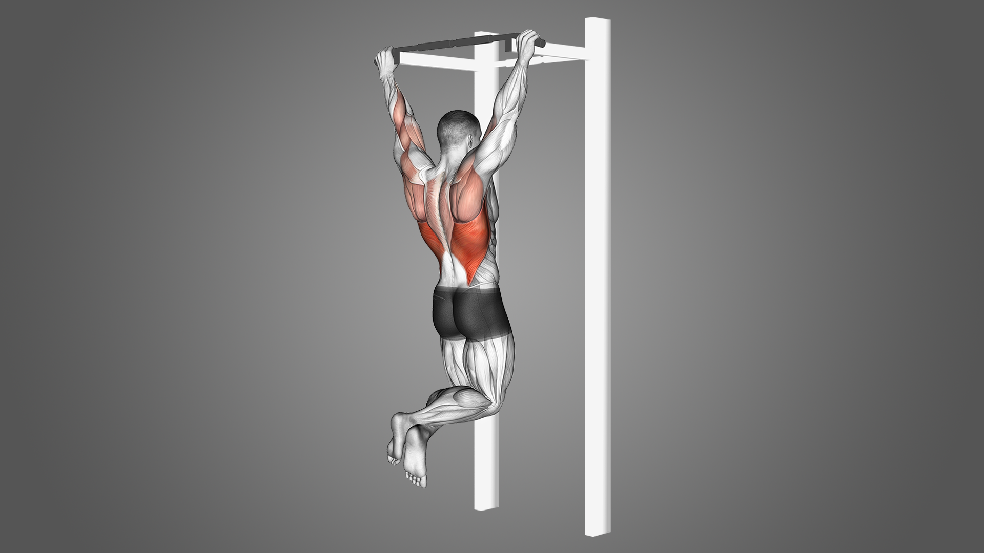 Pull Ups Benefits Muscles Worked And More Inspire US