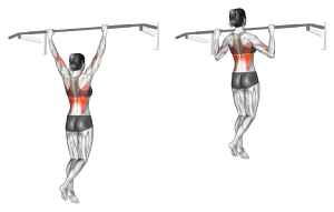 Wide Grip vs Close Grip Pull Ups: Differences Explained - Inspire US