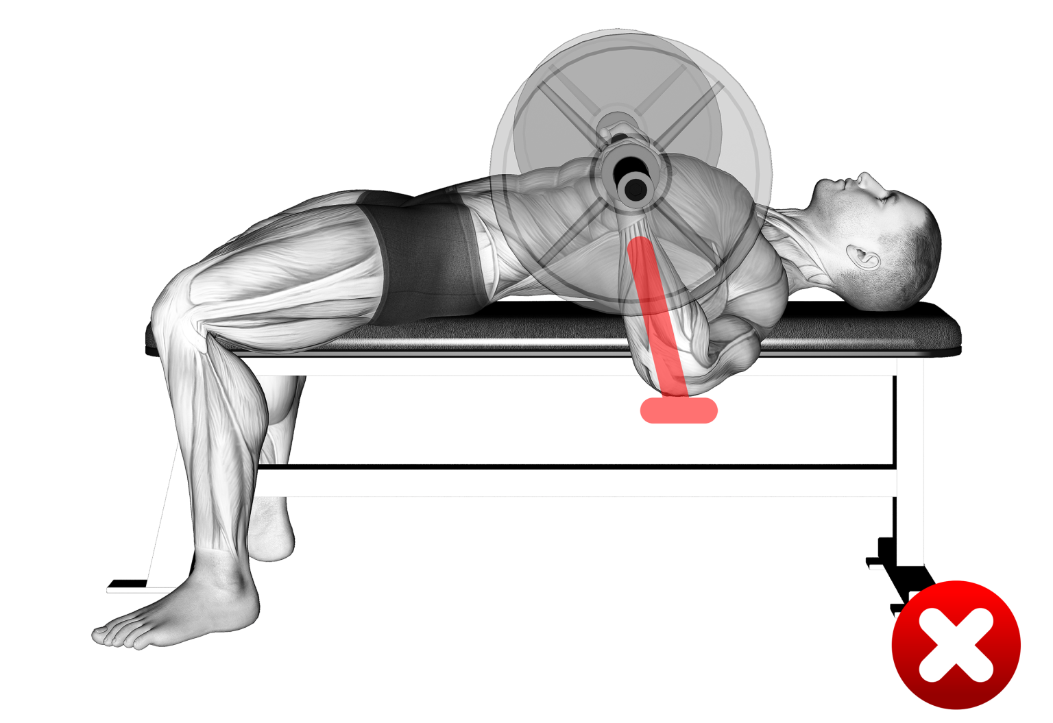 Bench Press Wrist Position: The Important of Neutral Orientation ...