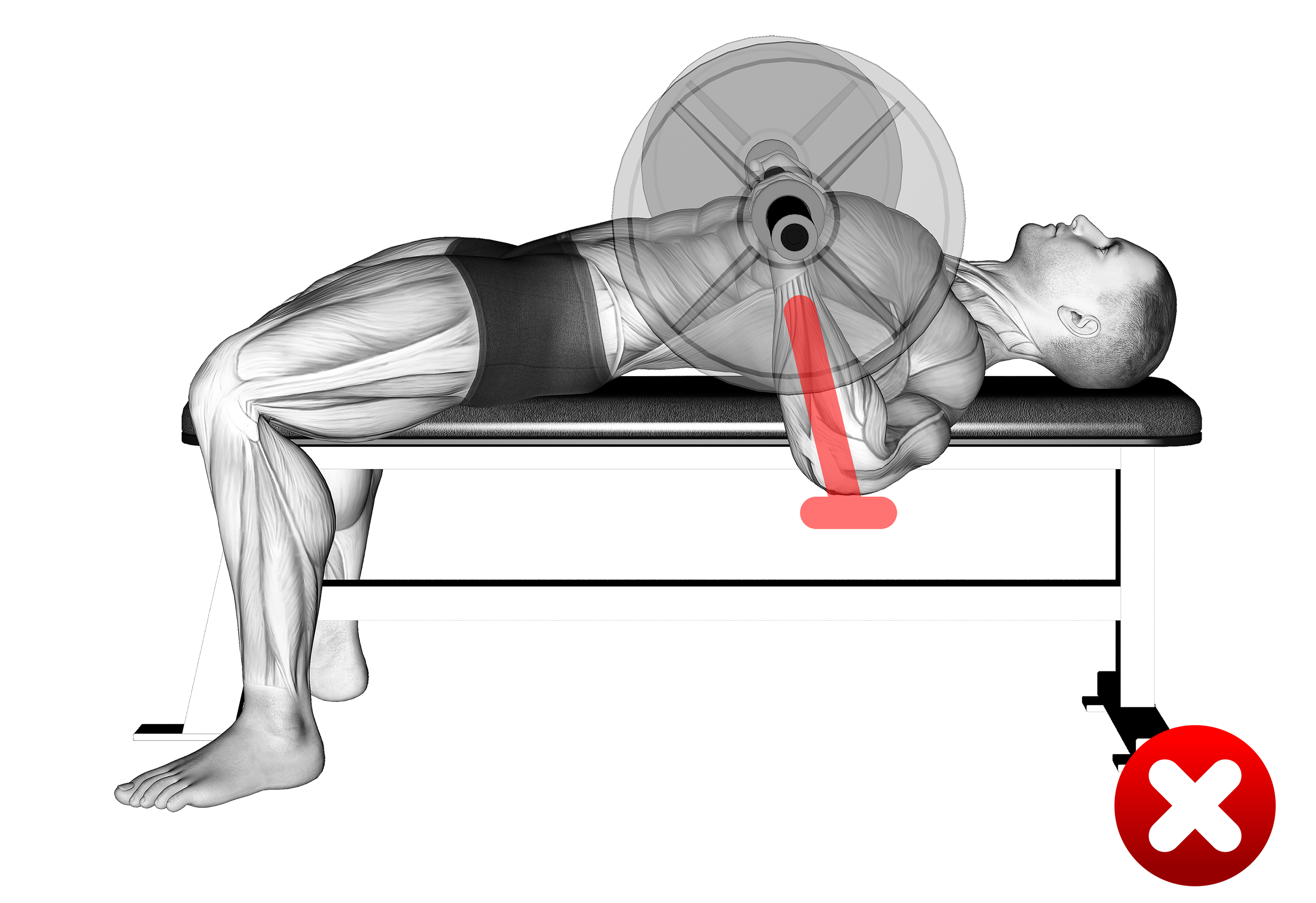 Bench Press Wrist Position: The Important of Neutral Orientation ...