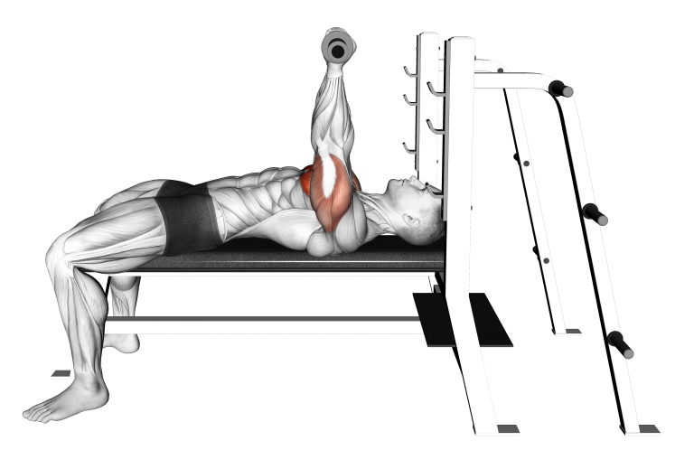 Bench Press Wrist Position: The Important of Neutral Orientation ...