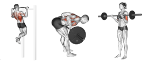 10 Best Upper Body Pull Exercises (with Pictures!) - Inspire US