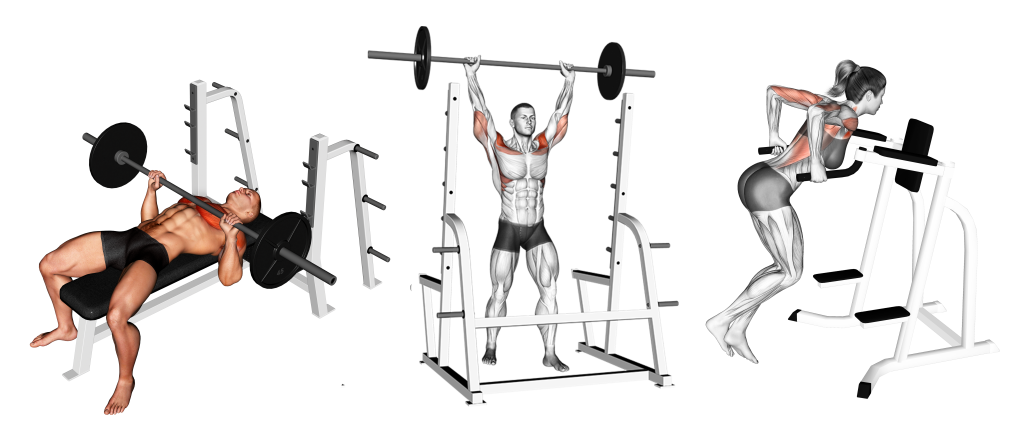 Push Pull Legs (PPL) Program: 3 and 6 Day Split Examples - Inspire US