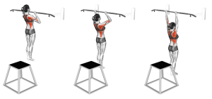 Negative/Eccentric Pull Ups: The Purpose Explained - Inspire US