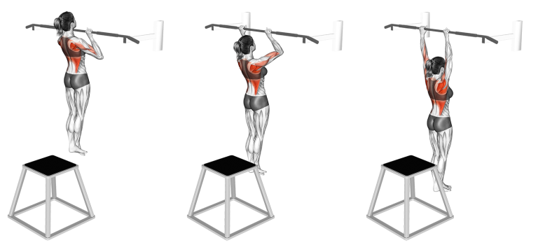 Negative/Eccentric Pull Ups: The Purpose Explained - Inspire US