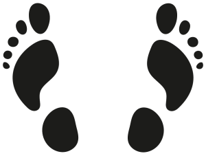 Leg Extensions: Benefits, Muscles Worked, and More - Inspire US