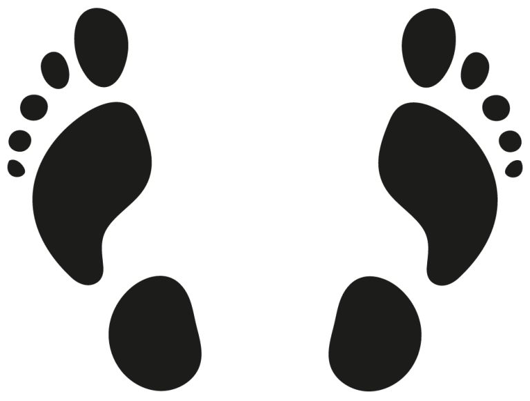 Leg Extensions: Benefits, Muscles Worked, and More - Inspire US