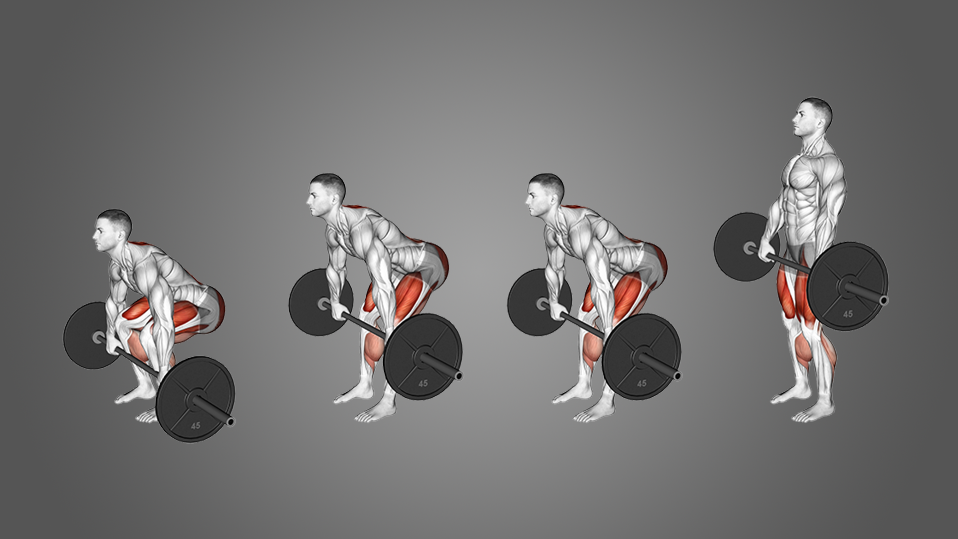 Pause Deadlift: Benefits, Muscles Worked, and More - Inspire US
