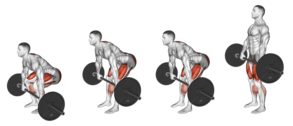 Pause Deadlift: Benefits, Muscles Worked, and More - Inspire US