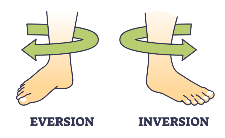 Foot Positioning For Squats: Cues, Angle, Width, and More - Inspire US