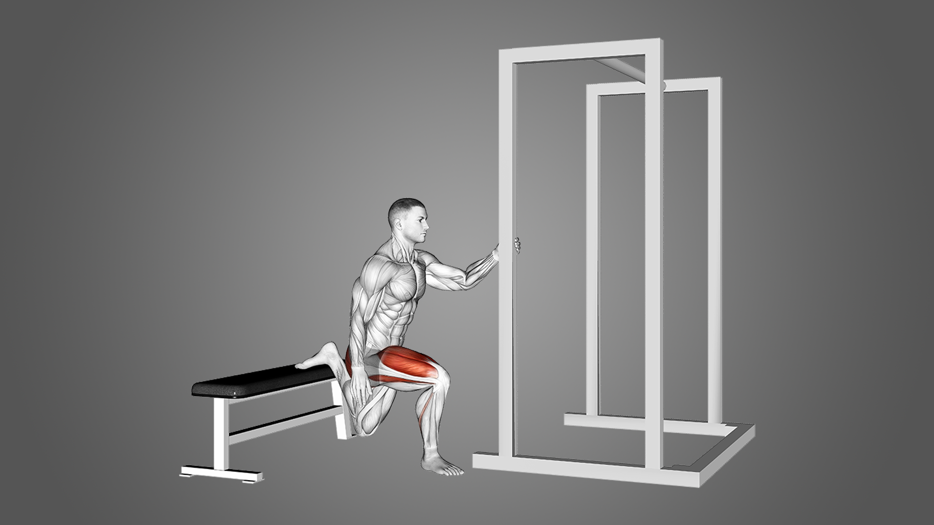 Bulgarian Split Squats: Benefits, Muscles Worked, and More - Inspire US