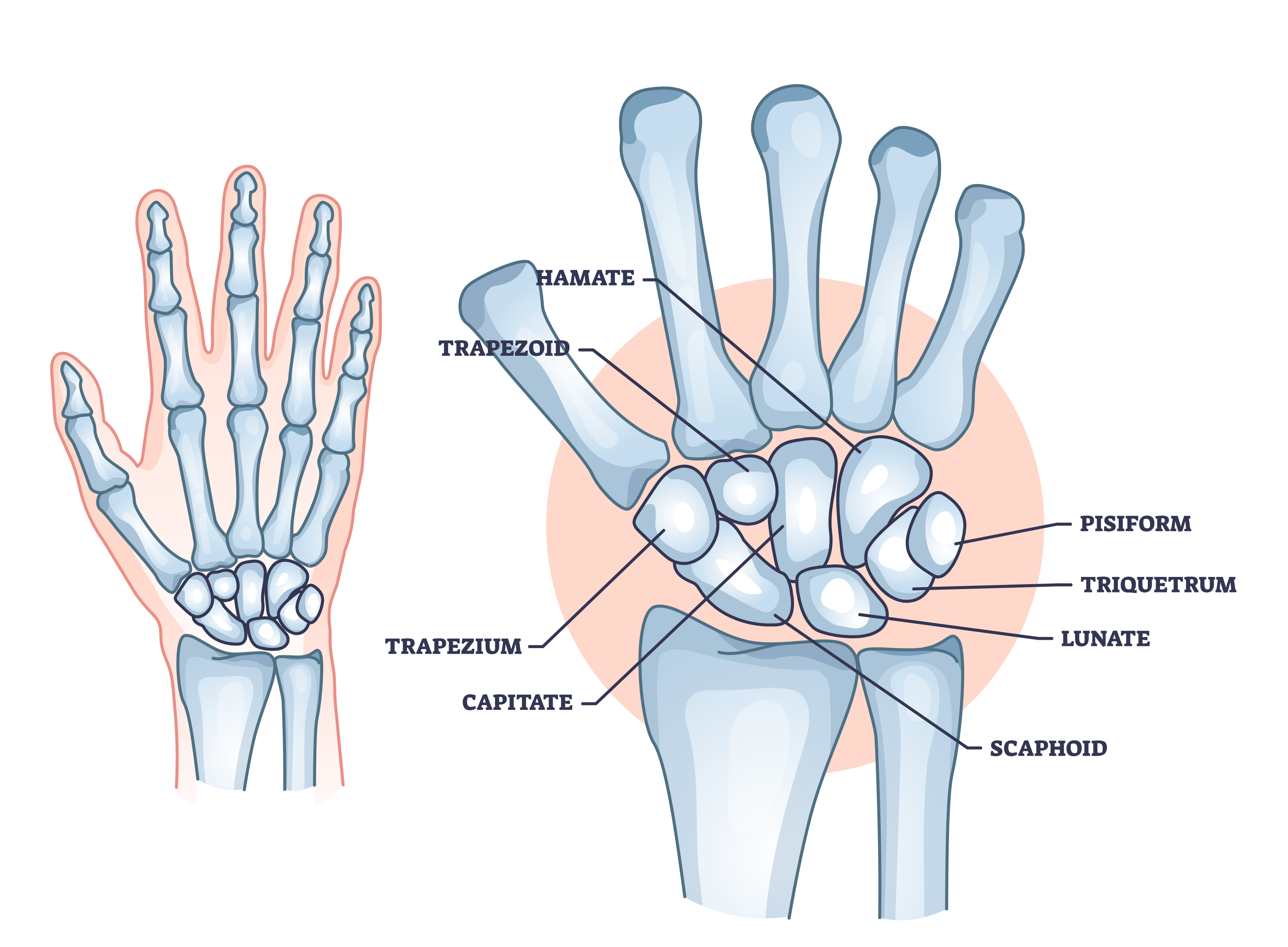 How to Get Bigger Wrists: Is it Physically Possible? - Inspire US