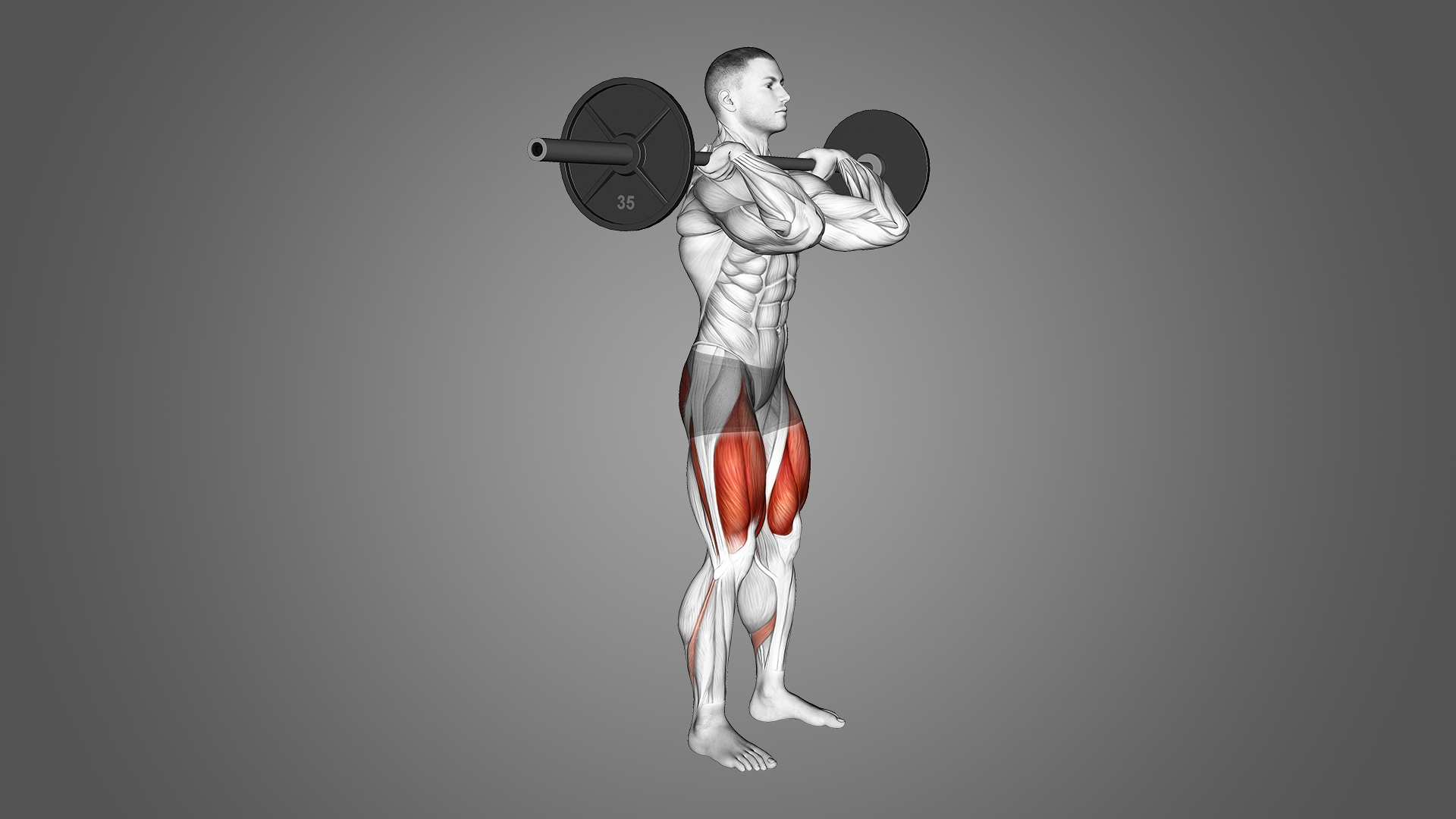 Front Squats: Benefits, Muscles Worked, and More - Inspire US