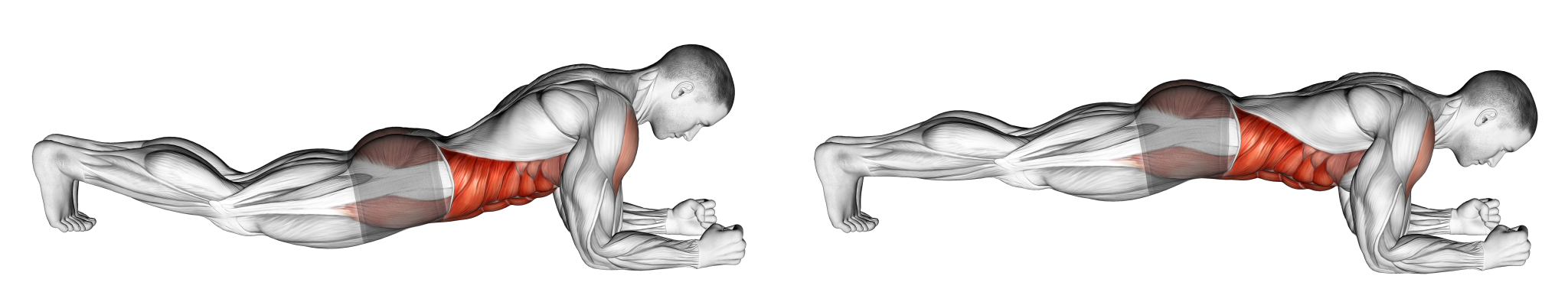 Planks: Benefits, Muscles Worked, and More - Inspire US