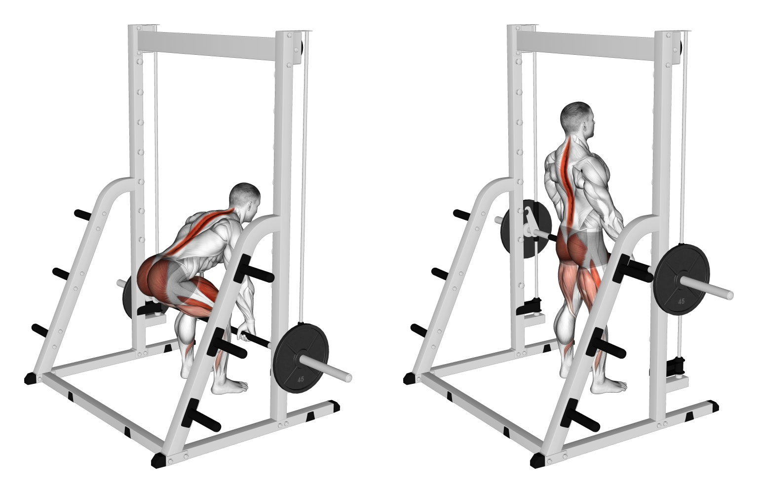 Can You Deadlift on a Smith Machine? Yes, Here's How - Inspire US