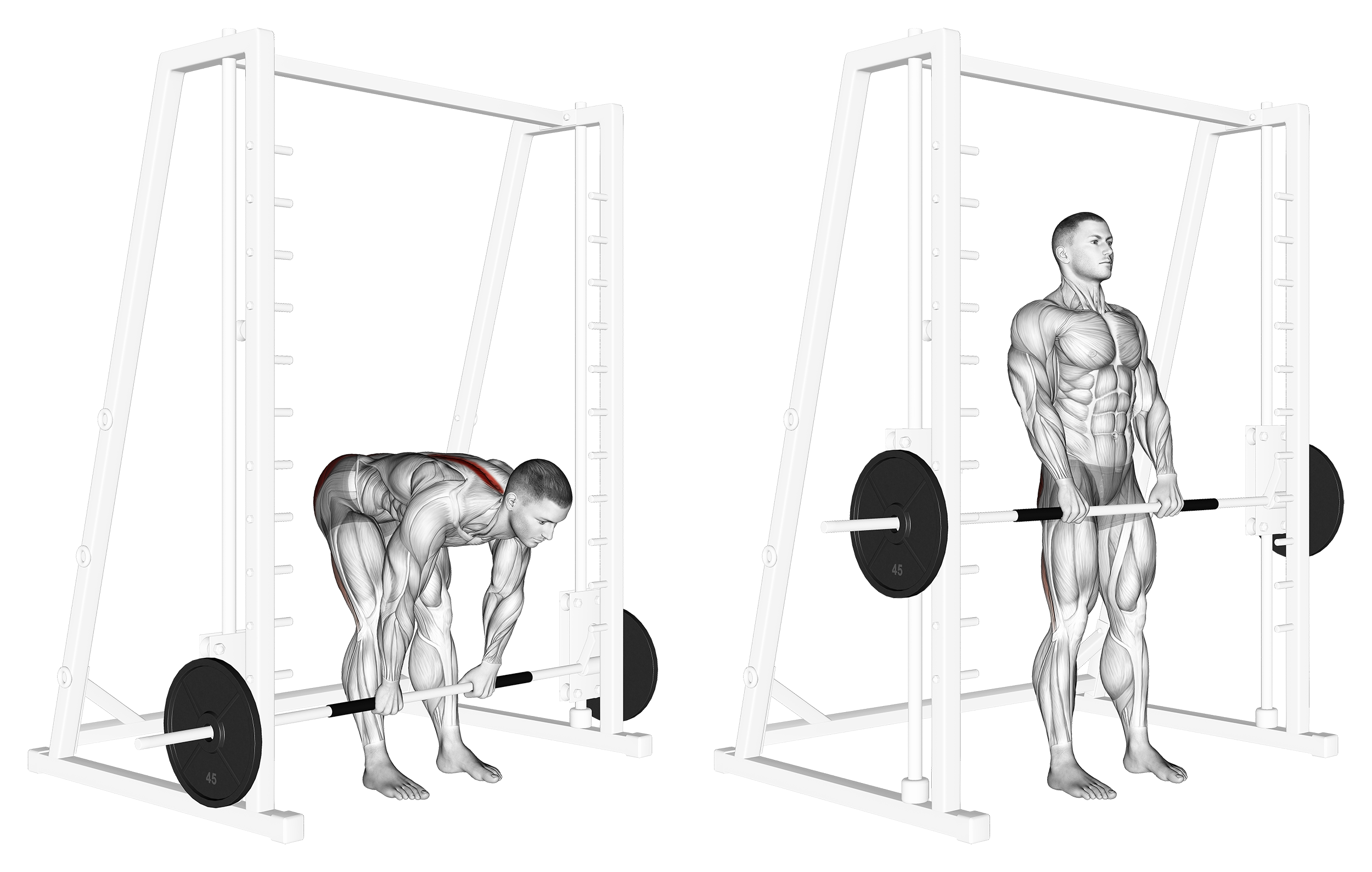 Can You Deadlift on a Smith Machine? Yes, Here's How - Inspire US