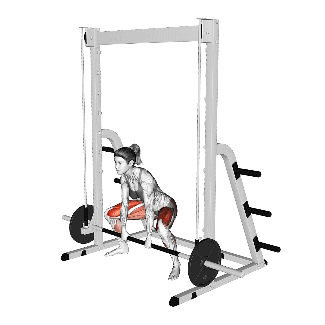 How To Do A Deadlift On A Smith Machine Best Cheap Www pinnaxis